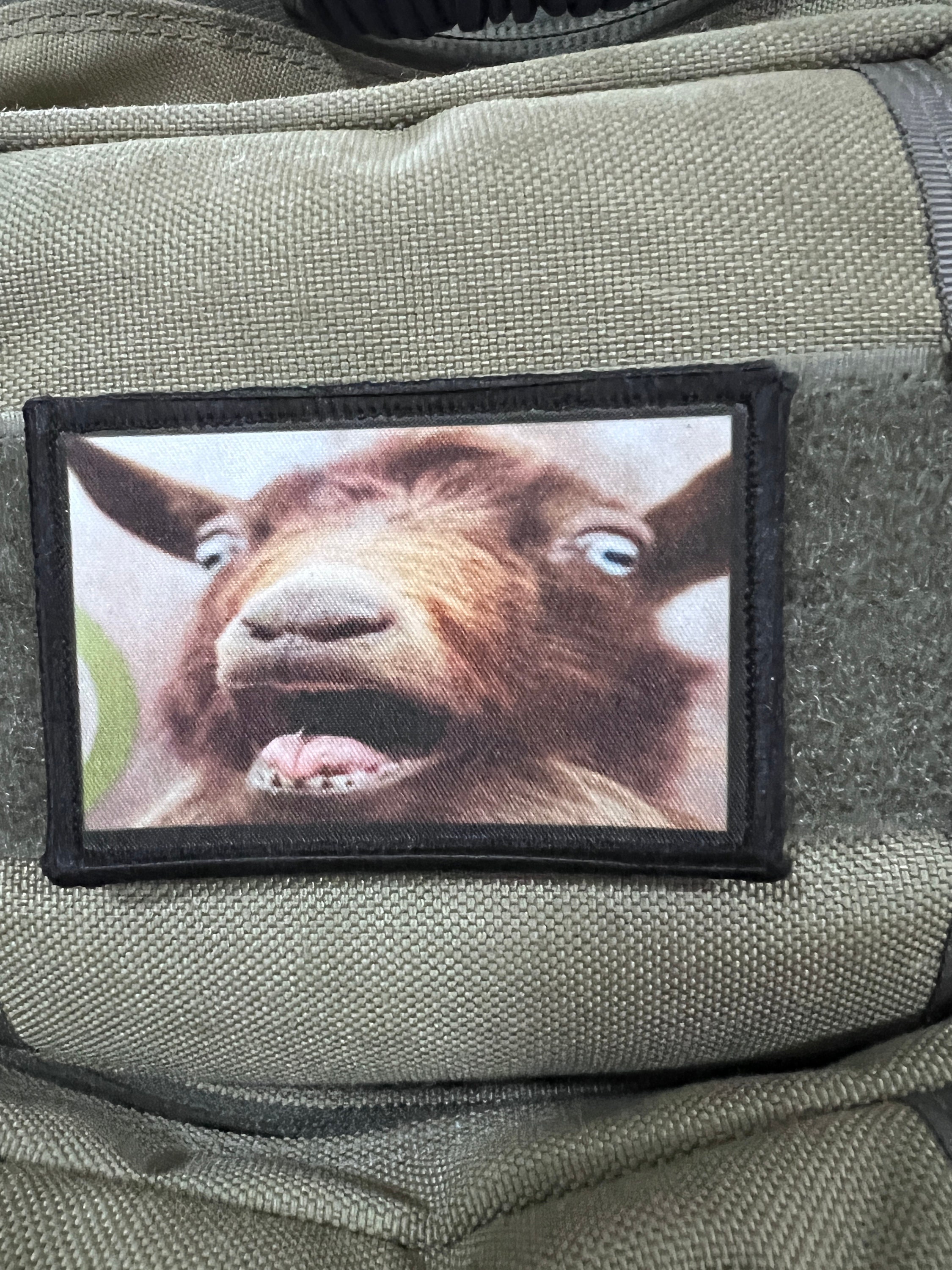 Screaming Goat Meme Funny Morale Patch Hook and Loop Custom - Etsy