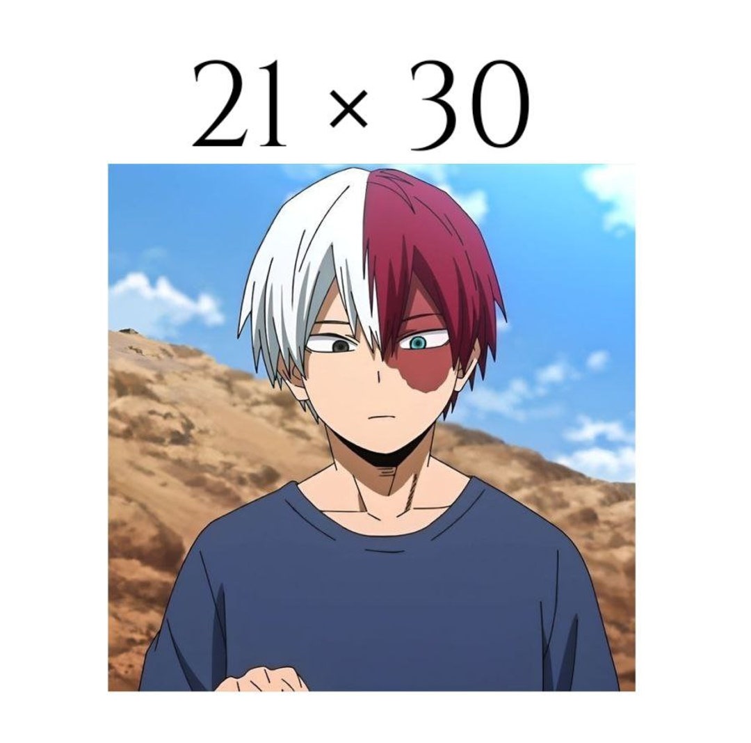 Anime Poster Todoroki Shoto From My Hero Acagemia. Print on Plastic ...