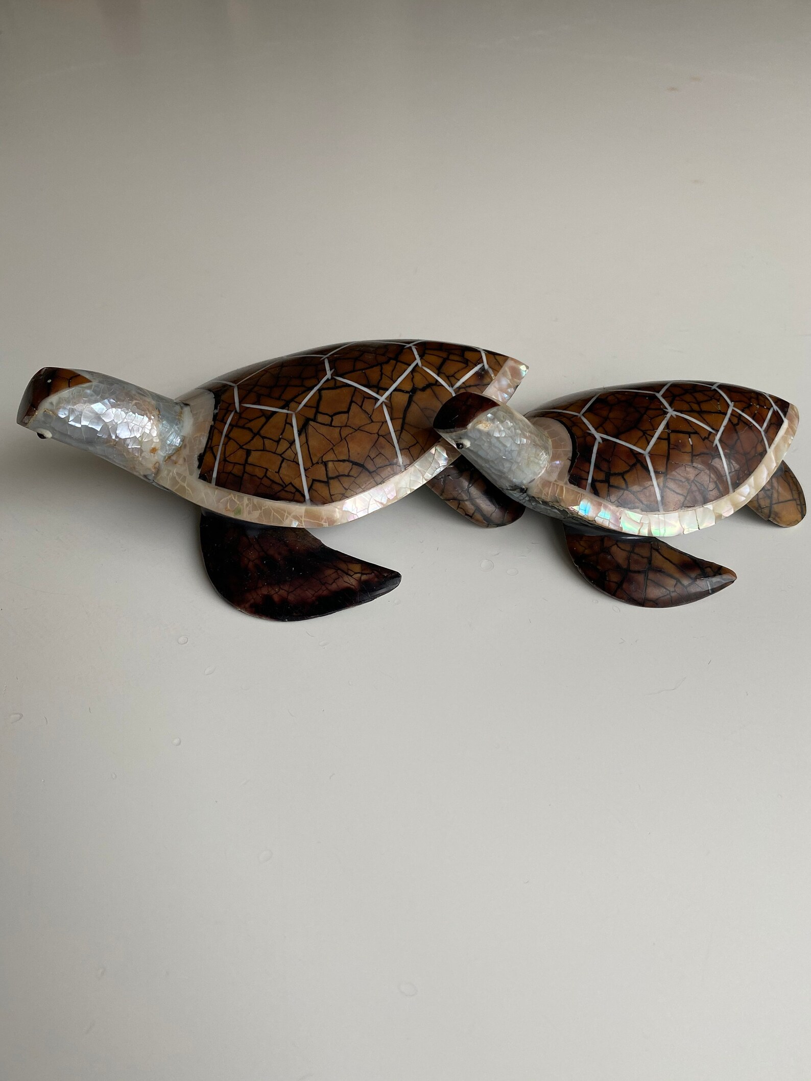 Vintage Turtles set x2 shells hand made | Etsy