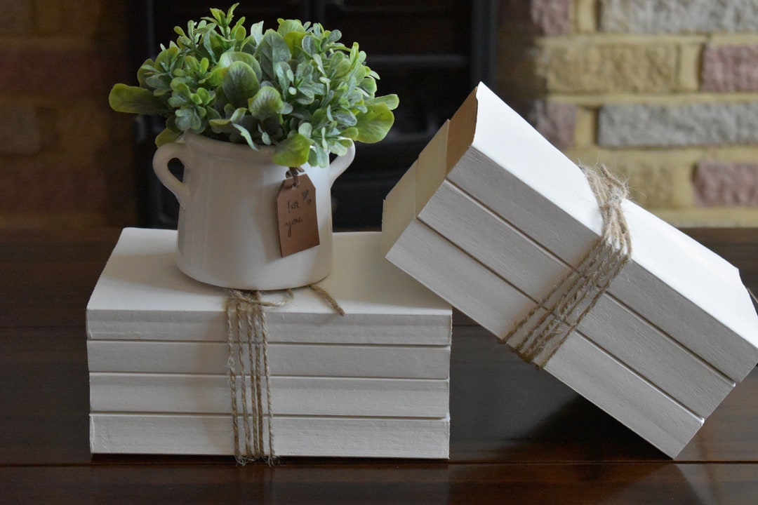 White Decorative Books, Painted Books, Coffee Table Books, Bookshelf ...