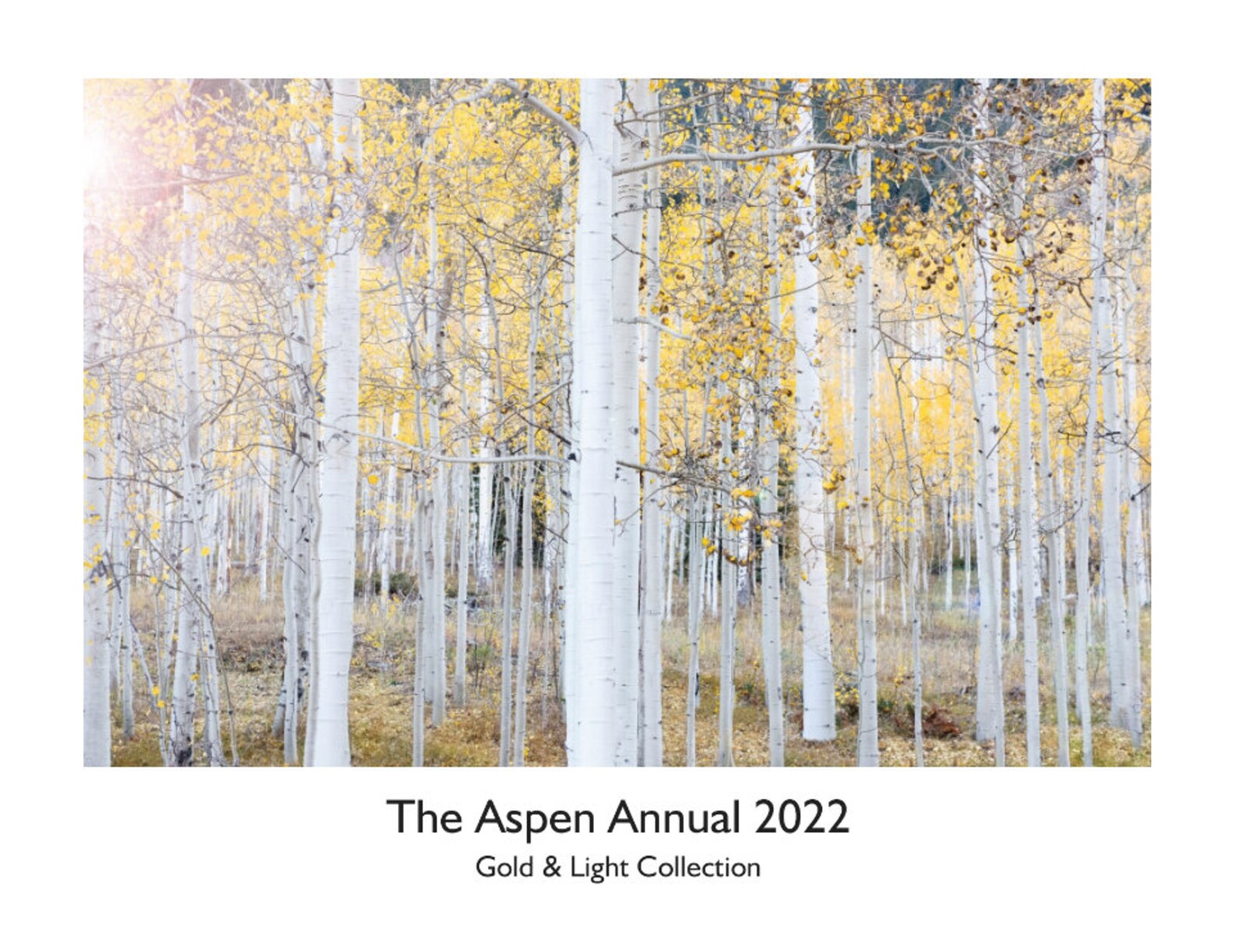 Aspen Light - Etsy