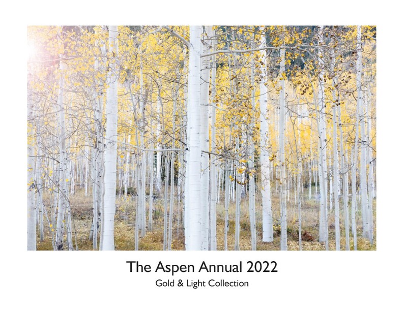 Aspen Light - Etsy