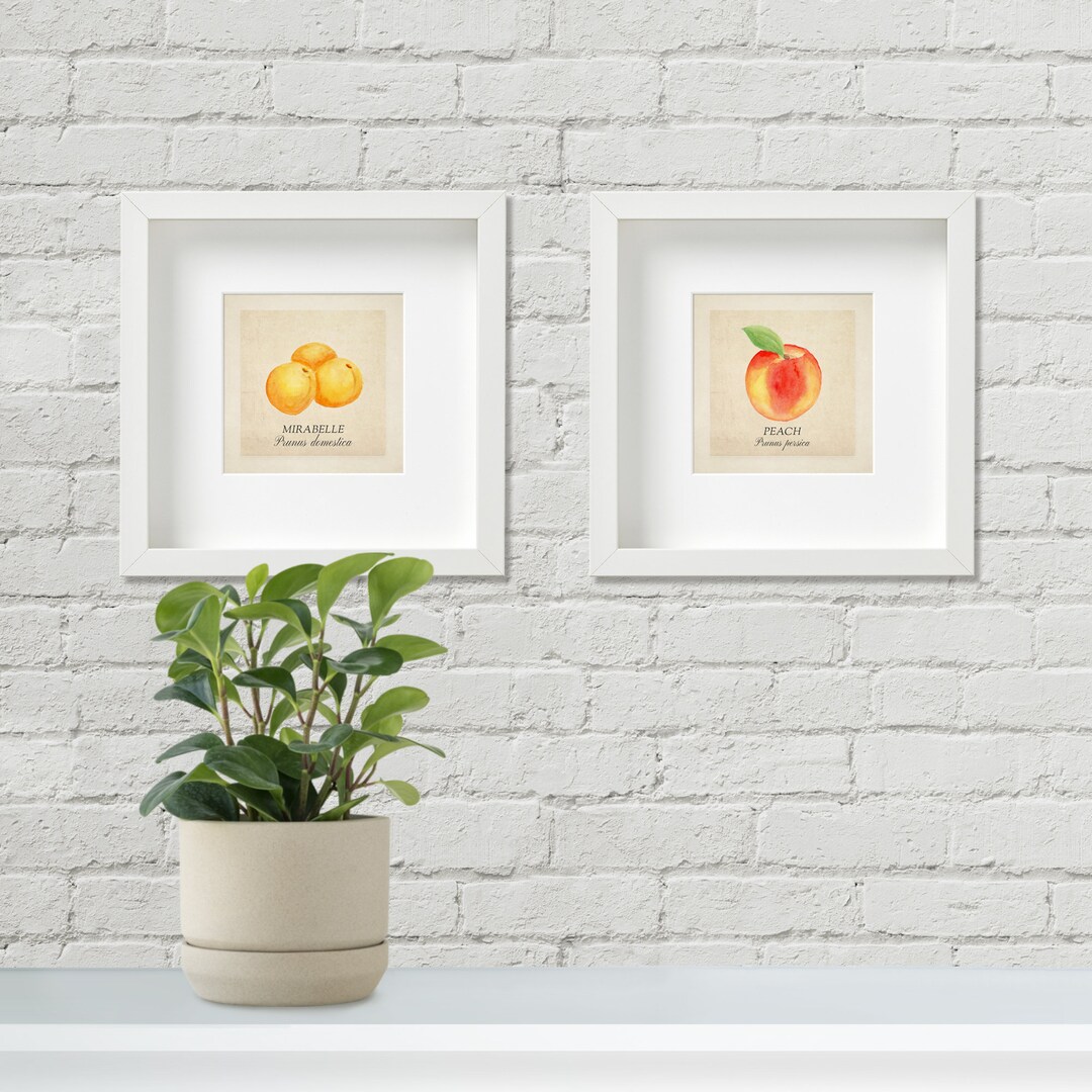 Set of 2 Watercolor Fruit Prints of Your Choice, Fruits Prints, Kitchen ...