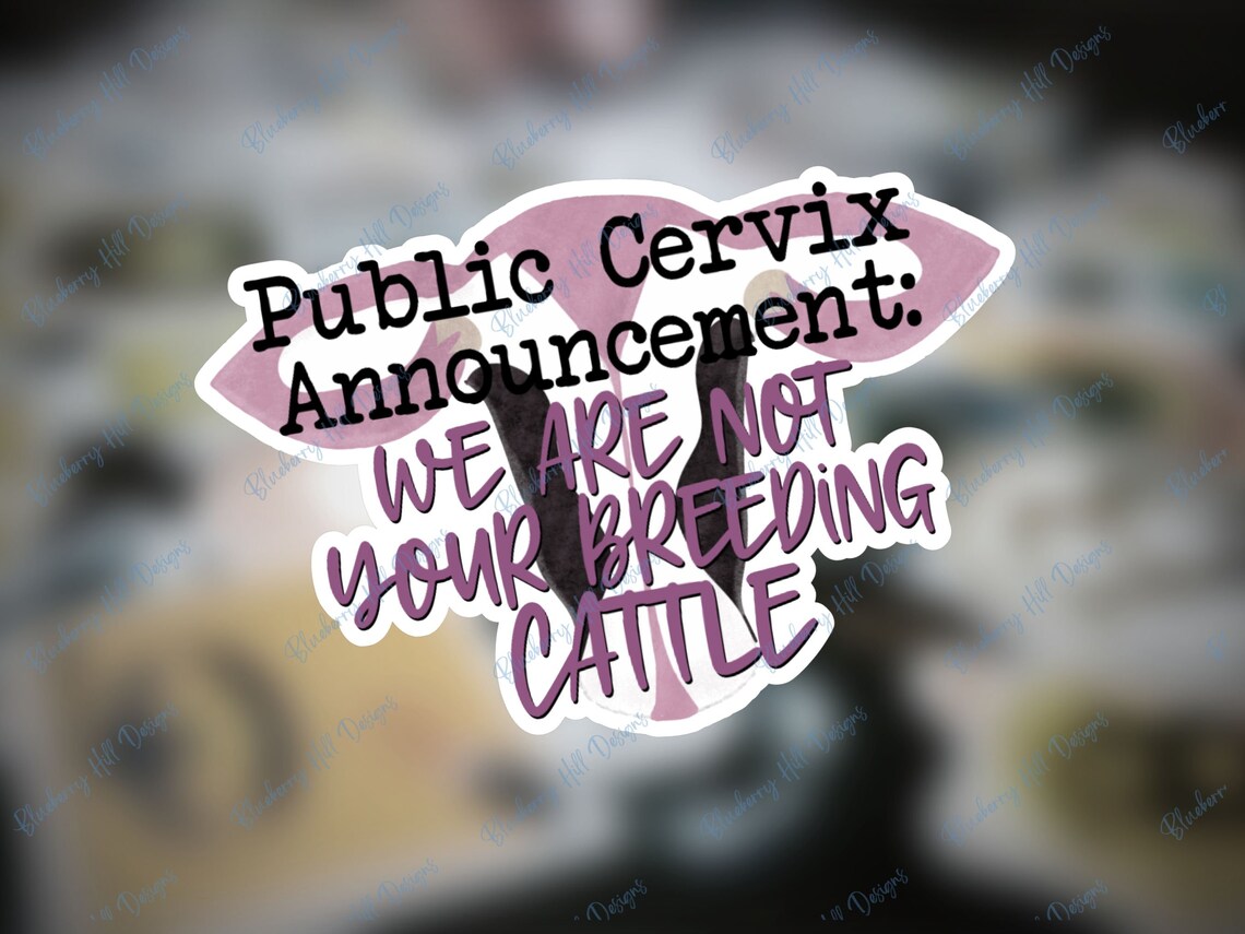 Public Cervix Announcement Laptop Water Bottle Car Notebook Sticker ...