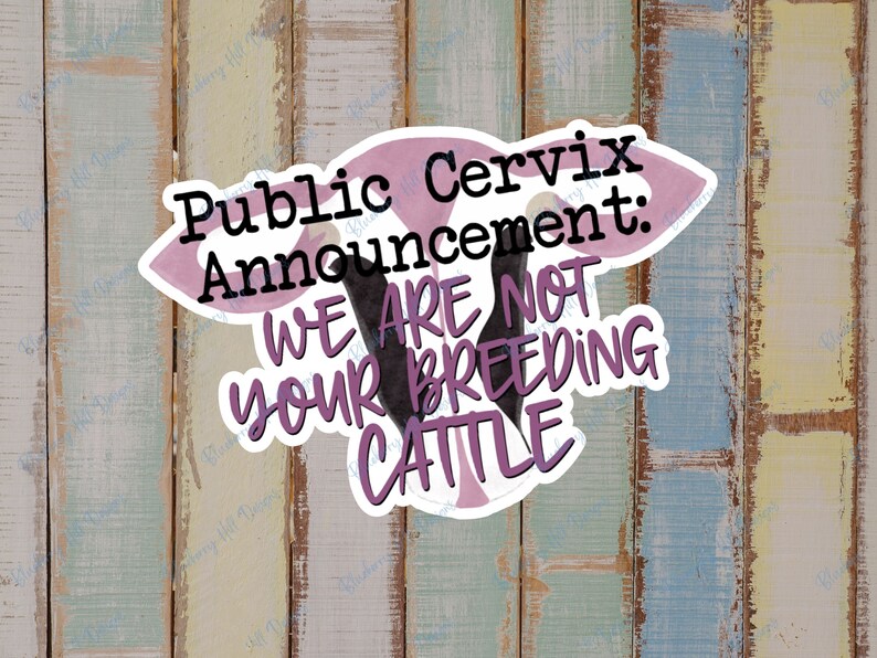 Public Cervix Announcement Laptop Water Bottle Car Notebook Sticker ...