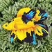 Bumblebee Double Tail Betta Fish Pin, Gift for Betta Fish Lover ...