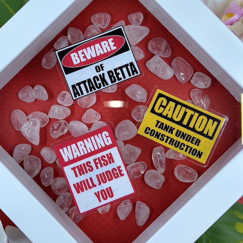 Aquarium Warning Sign - Etsy