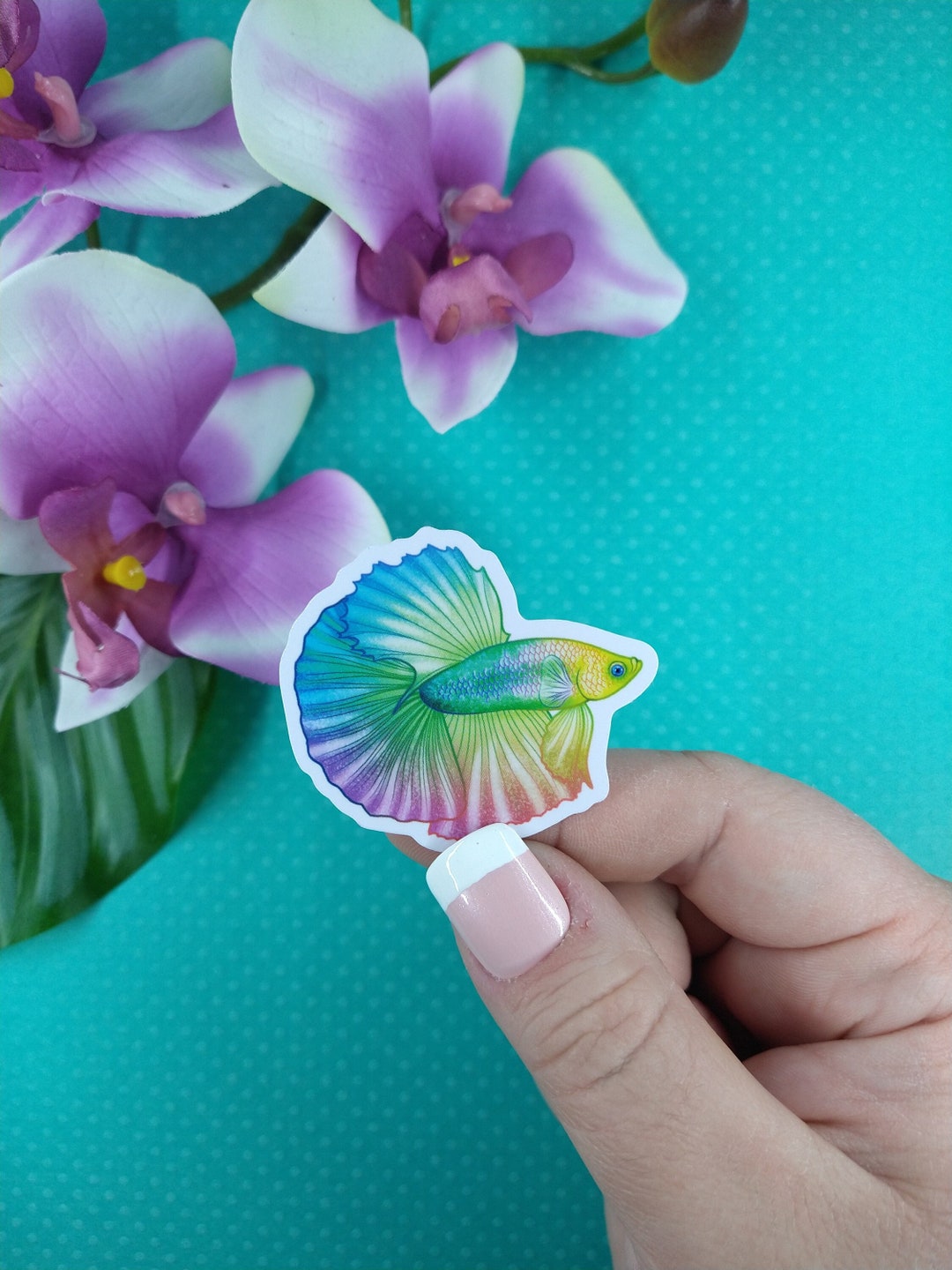 2in Betta Fish Sticker Rainbow Opal, Vinyl Sticker, Betta Fish Gift ...