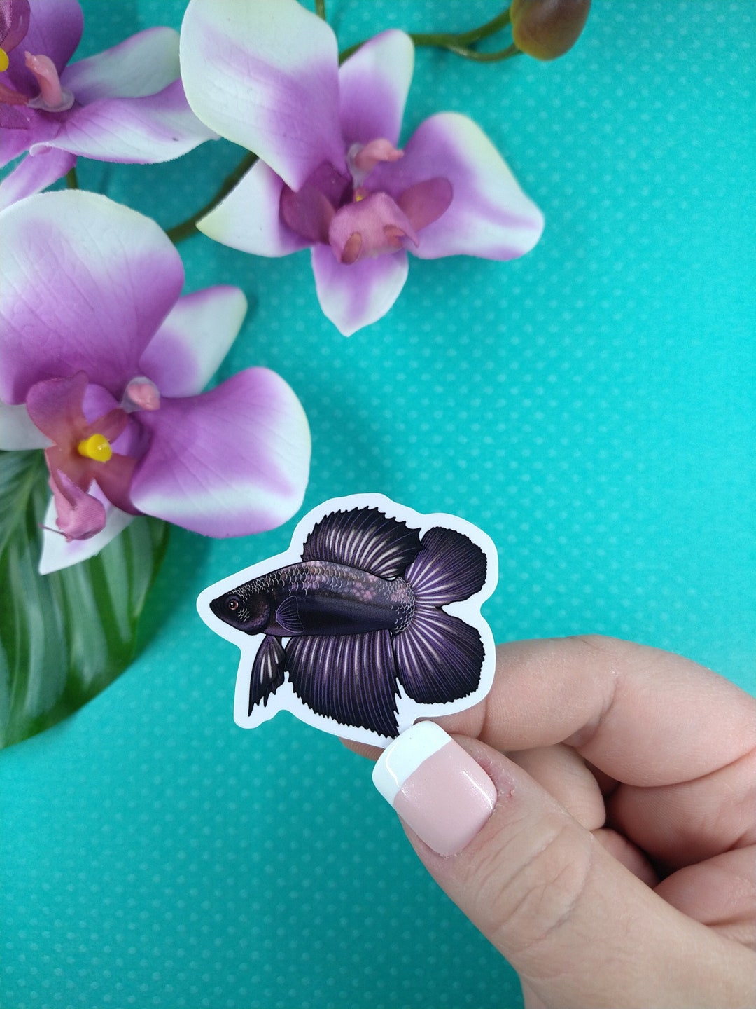 2in Betta Fish Sticker Black Doubletail, Vinyl Sticker, Betta Fish Gift ...