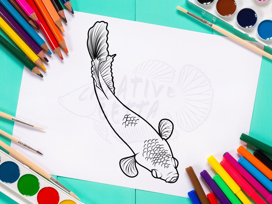 Digital Betta Fish Coloring Book Page Downloadable Line Art - Etsy