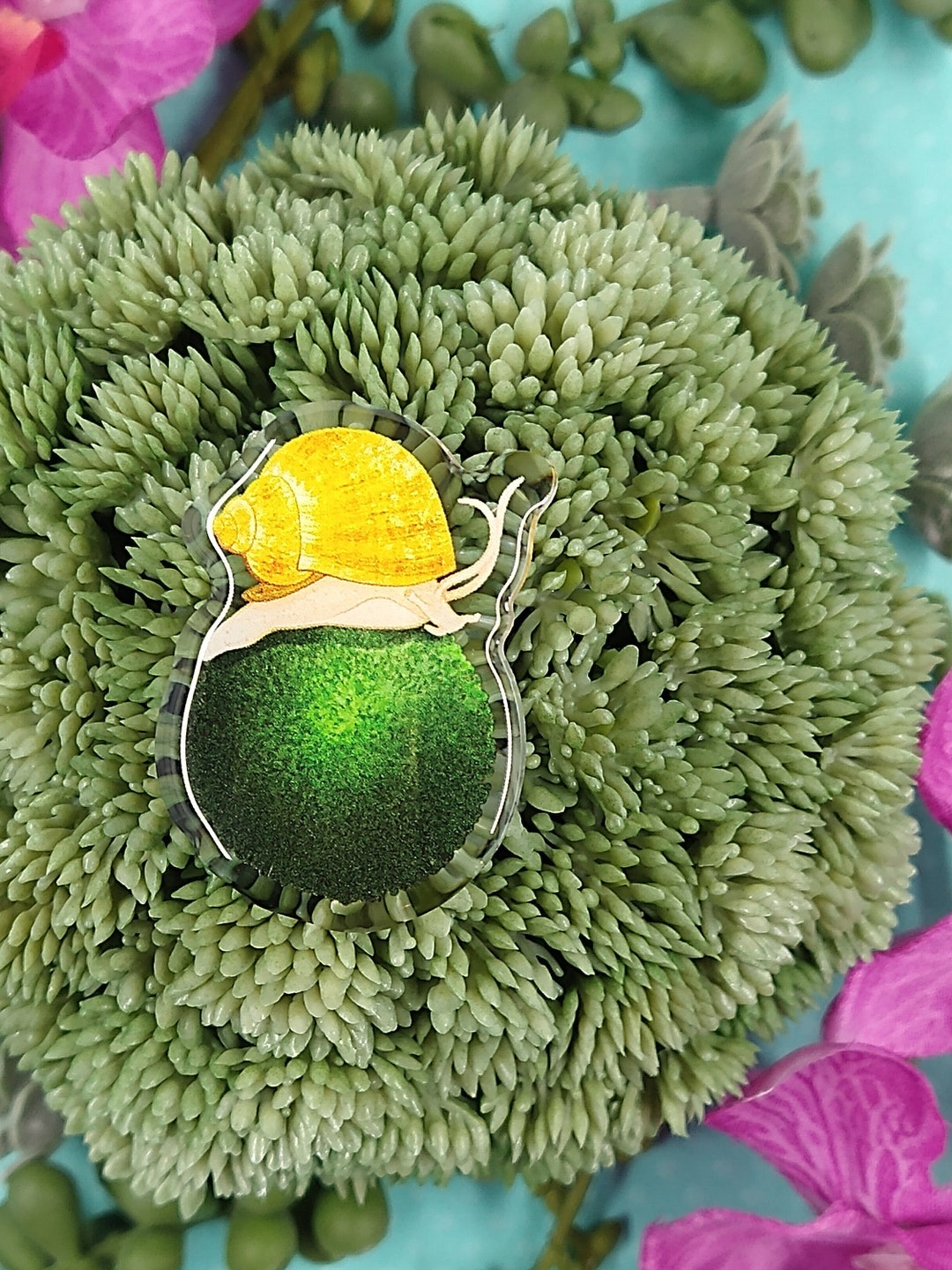 Gold Mystery Snail Pin, Snail Gift, Snail Decor, Aquarium, Acrylic Pin ...