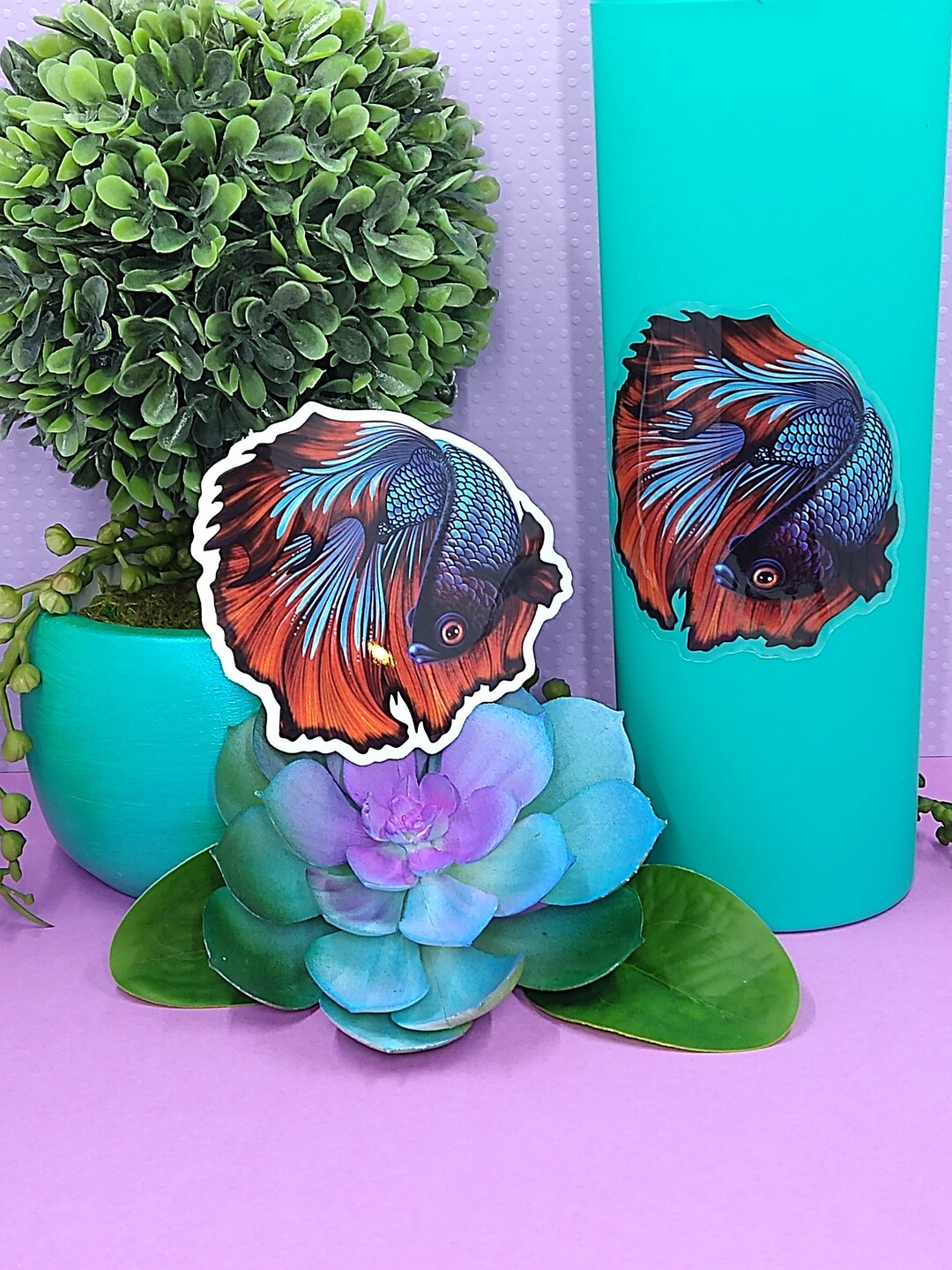 3in Betta Fish Sticker Blue & Red Bi Color, Clear Sticker, Betta Fish ...