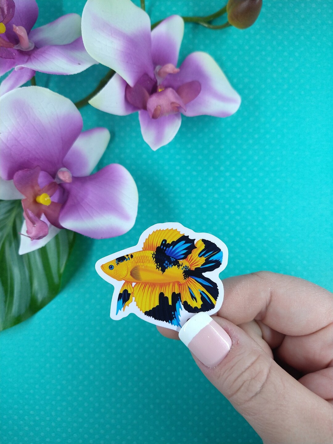 2in Betta Fish Sticker Black & Yellow Doubletail, Vinyl Sticker, Betta ...