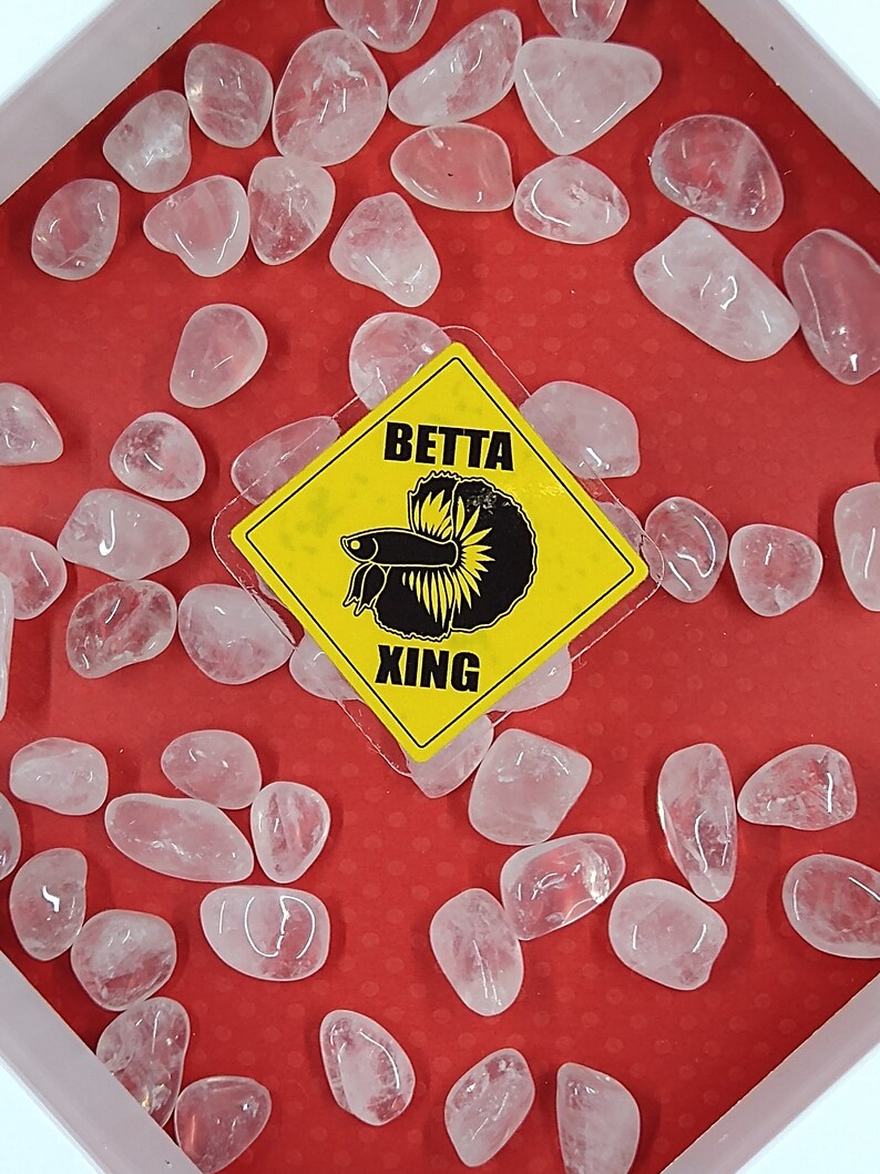 Aquarium Caution Signs, Warning, Aquarium Decor, Betta Fish Tank Decor ...