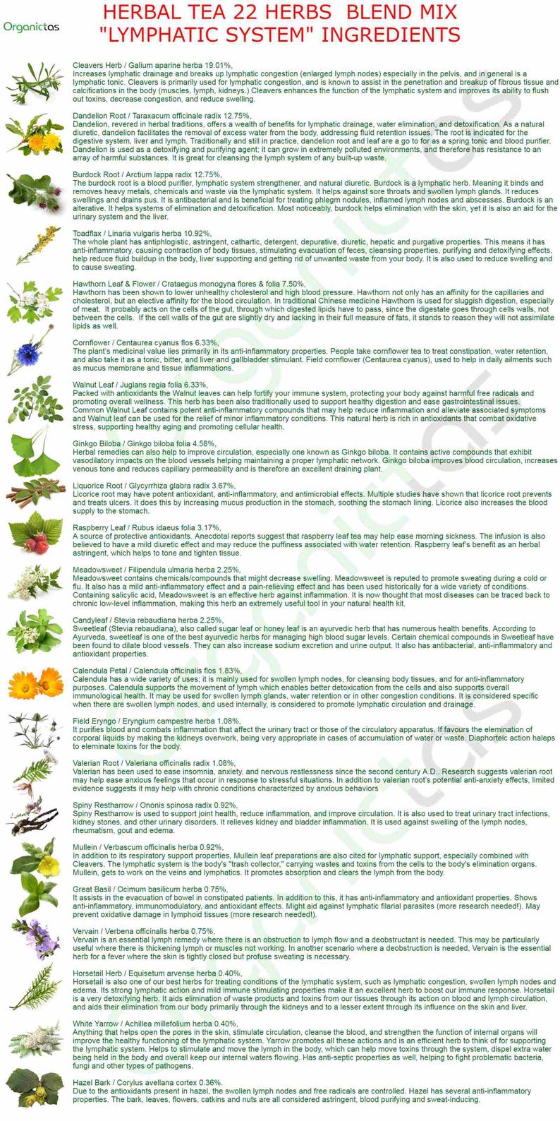 Organic LYMPH SYSTEM TEA 22 Herbs Recipe Formula Natural Lymphatic ...