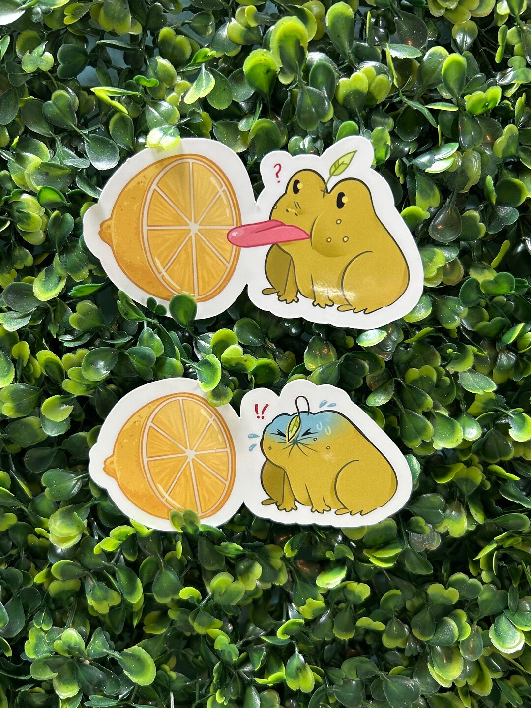 Sour Lemon Frog Glossy Vinyl Sticker Set - Etsy