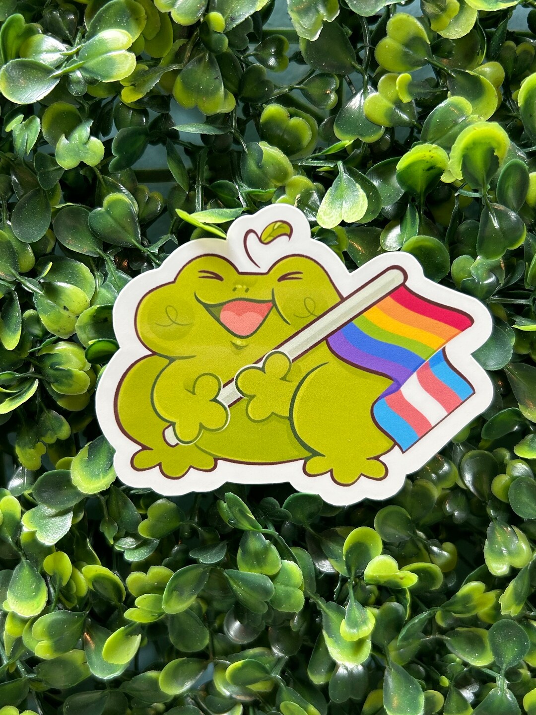 Pride Flag Frog Glossy Vinyl Stickers - Etsy