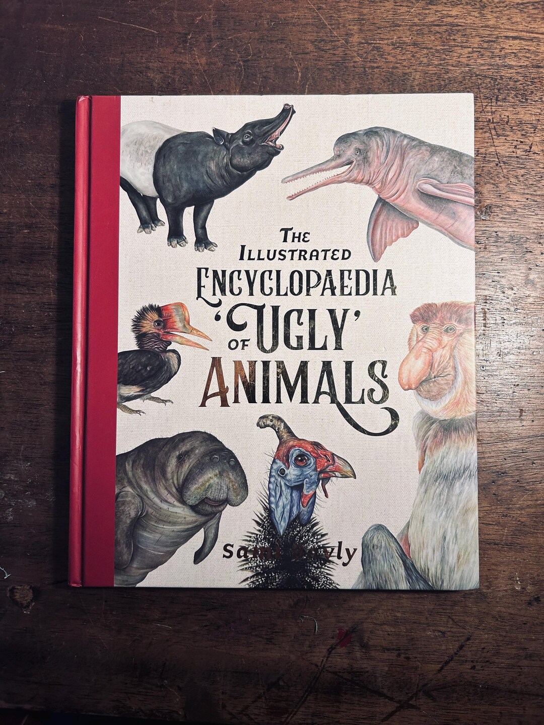 The Illustrated Encyclopaedia of Ugly Animals - Etsy UK