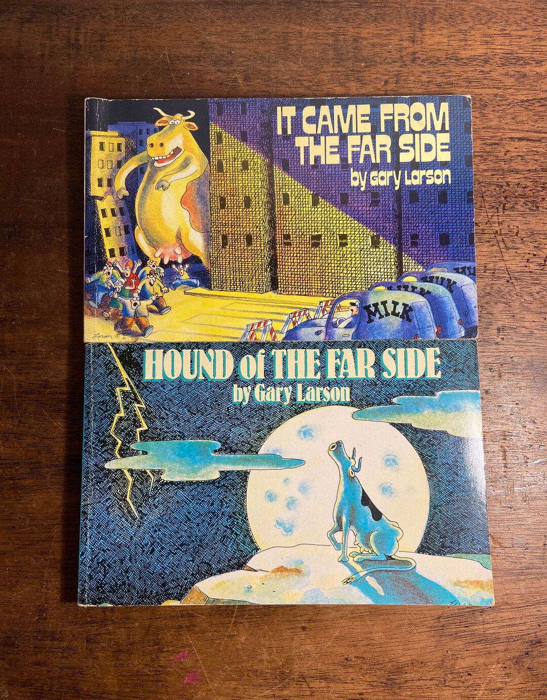 The Far Side Books 1992 X 2 - Etsy