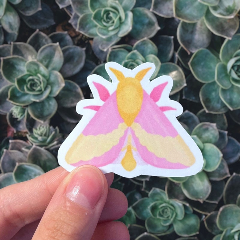 Moth Laptop Sticker - Etsy