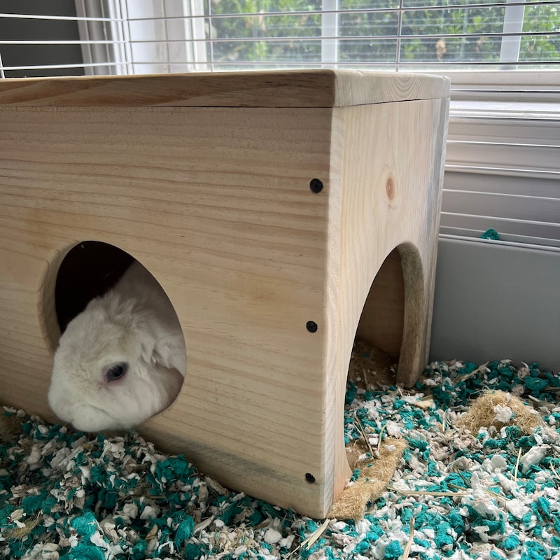 Indoor Rabbit House - Etsy