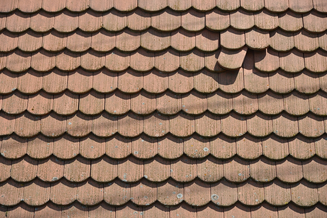 Swiss Wood Roof, Downloadable Fine Art Photography, Wall Art, Printable ...