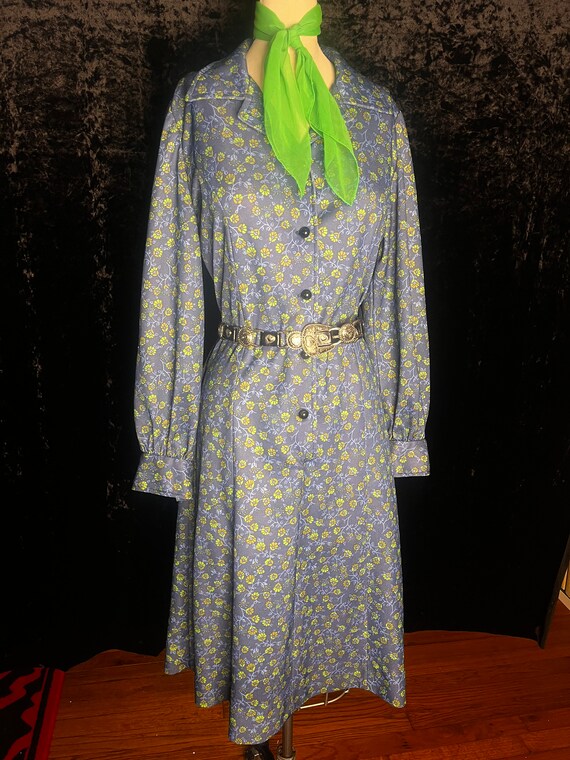 1970’s Blue and Green floral print long sleeve collar… - Gem