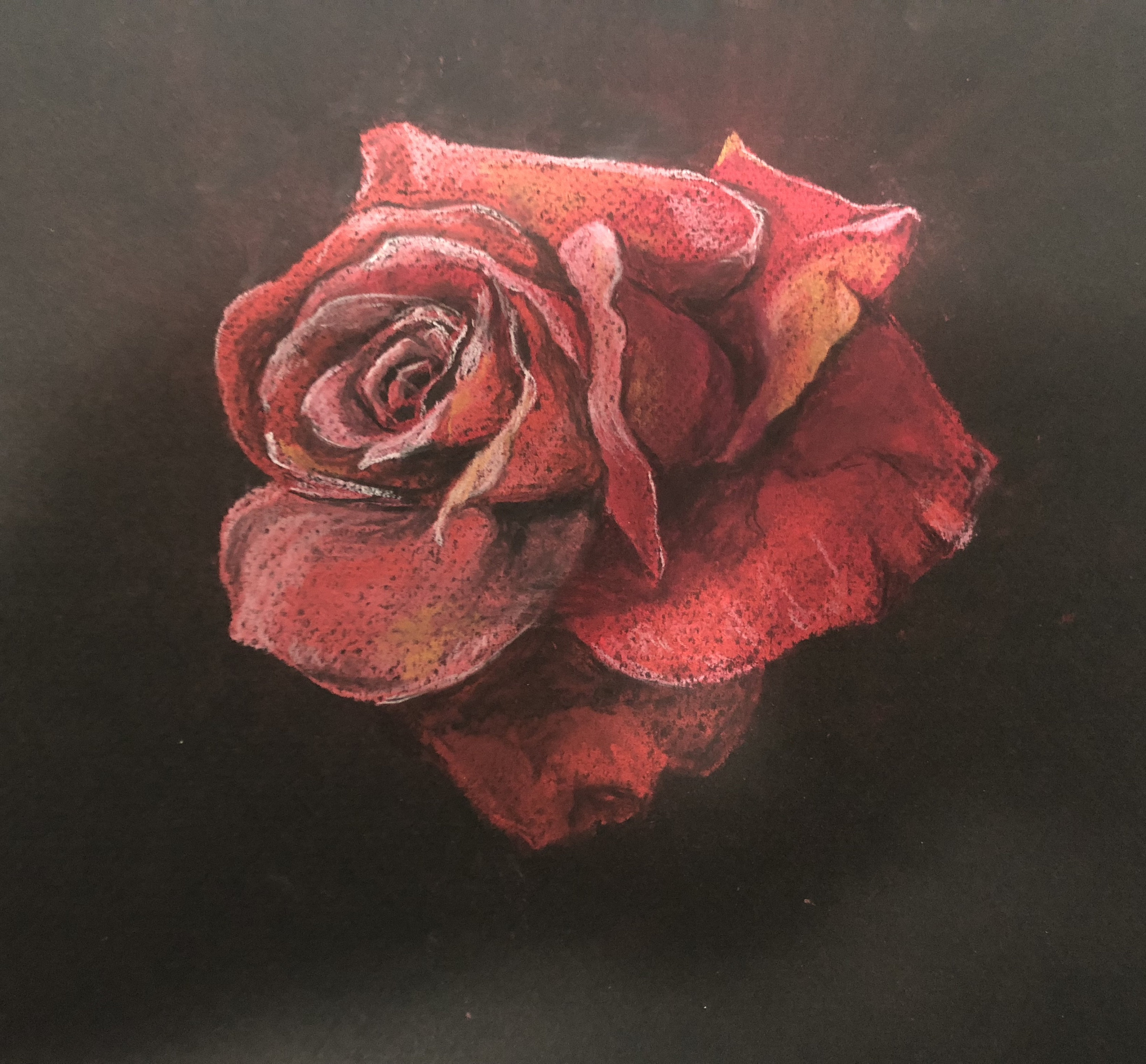 Red Rose Pastel Painting - Etsy