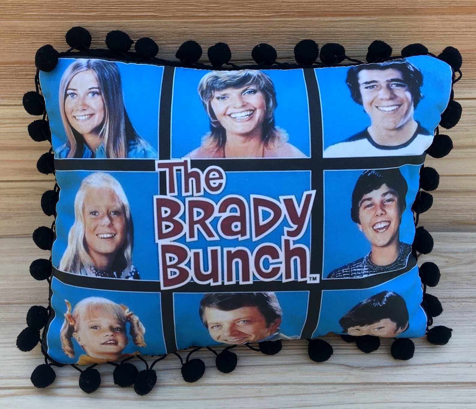 The Brady Bunch Pillow: Handmade Classic TV Art Pillow (with Fluffy ...