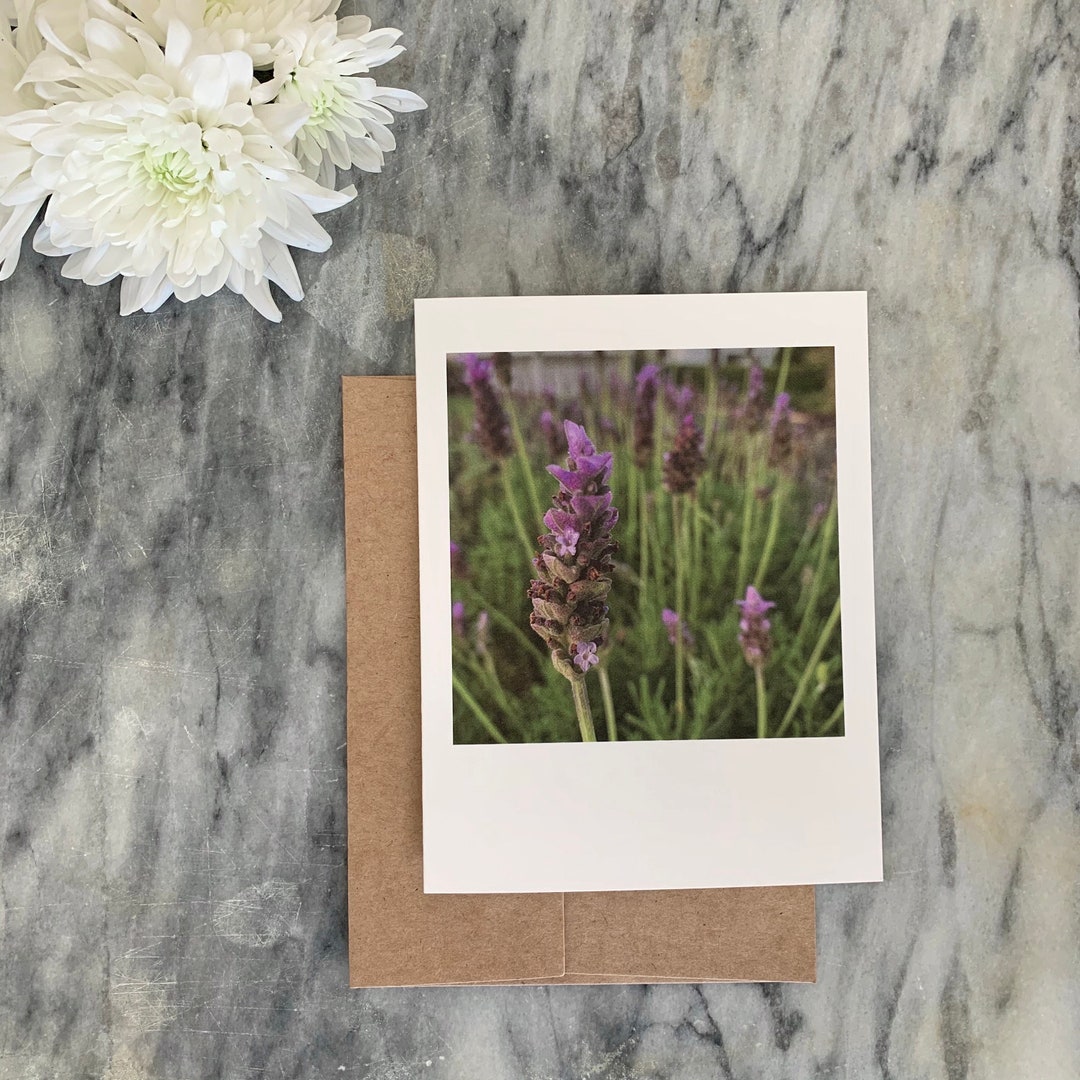 5 Lavender Flower Note Cards Floral Photo Card Note Card - Etsy