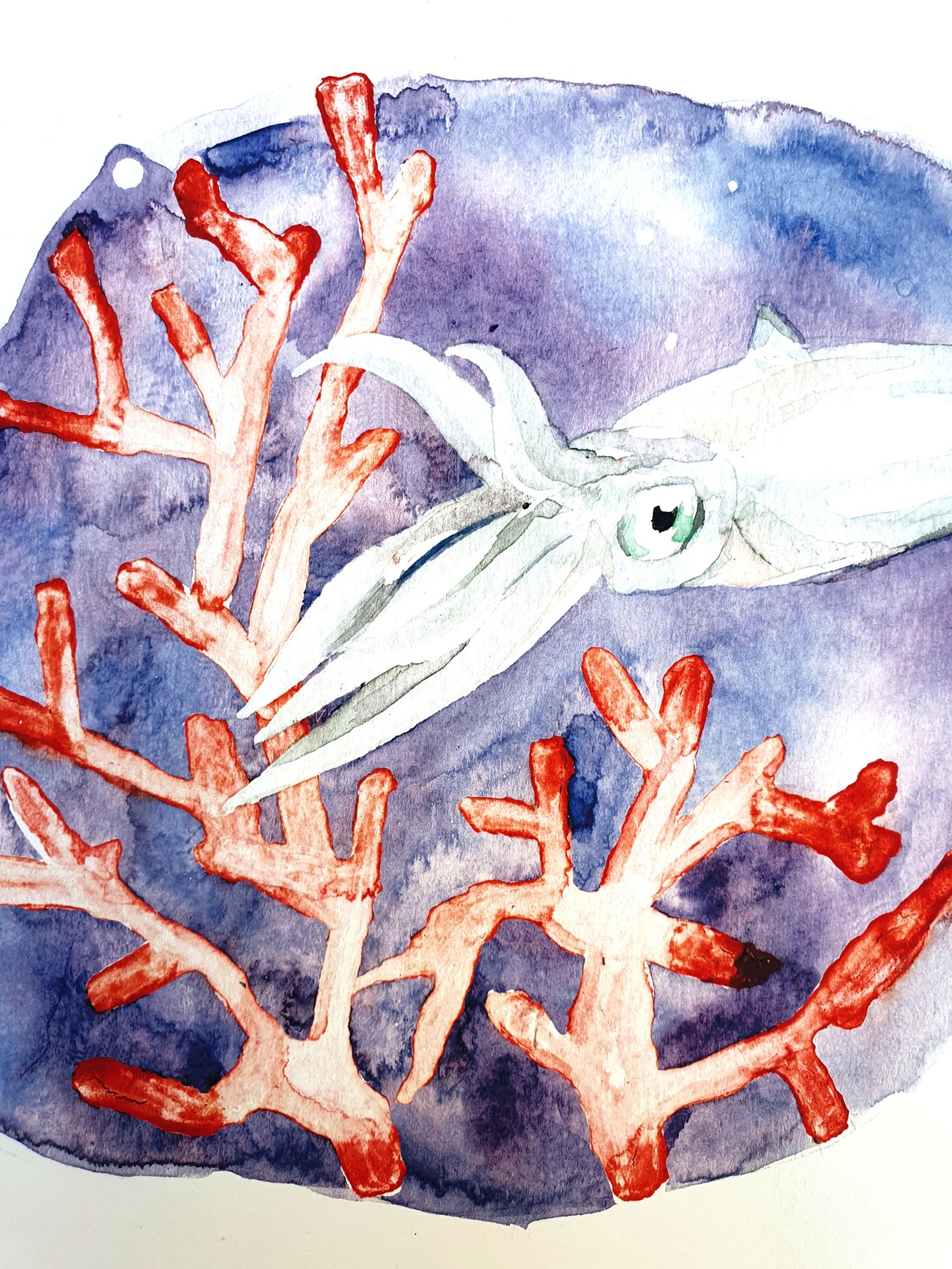Squid Watercolour Painting Print Original Artwork Various Sizes - Etsy.de