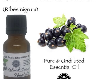 Black Currant Essential Oil - Etsy