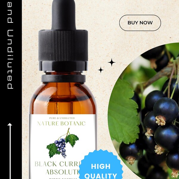 Black Currant - Etsy