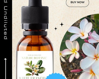 Frangipani White Absolute Indian Plumeria Alba 100% Pure - Etsy