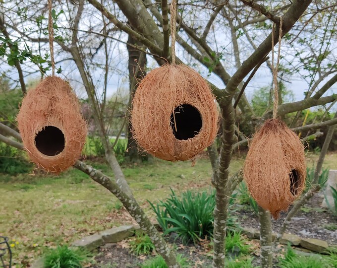 NATURAL 5-6" Hanging Coconut Bird House/nest W/husk Nesting Box or ...