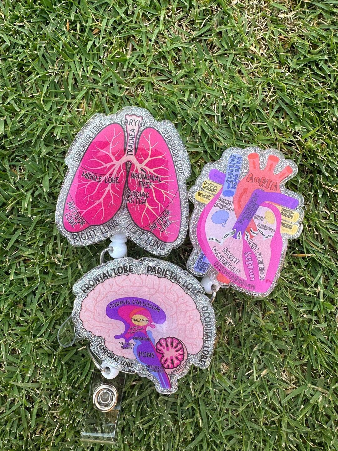 Anatomical Brain Badge Reel | Anatomical Brain Badge Reel | Anatomical ...