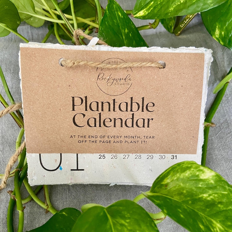 2026 Plantable Seed Calendars - Etsy