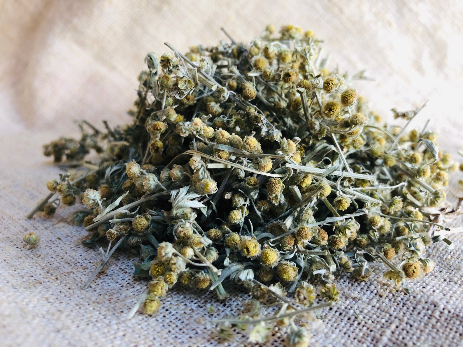 Té de ajenjo Recogido a mano, 10 g/0,35 oz - Etsy España