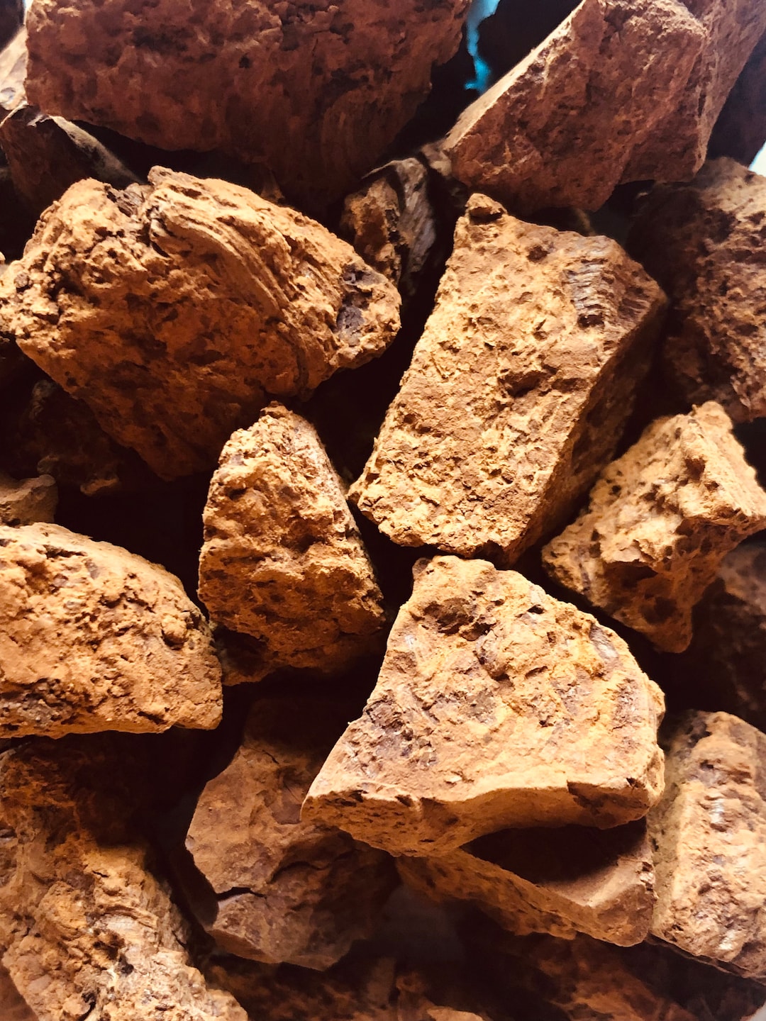 Wild Chaga Chunks for Tea | Wild CHAGA Mushroom | Dried Chunks for Tea ...