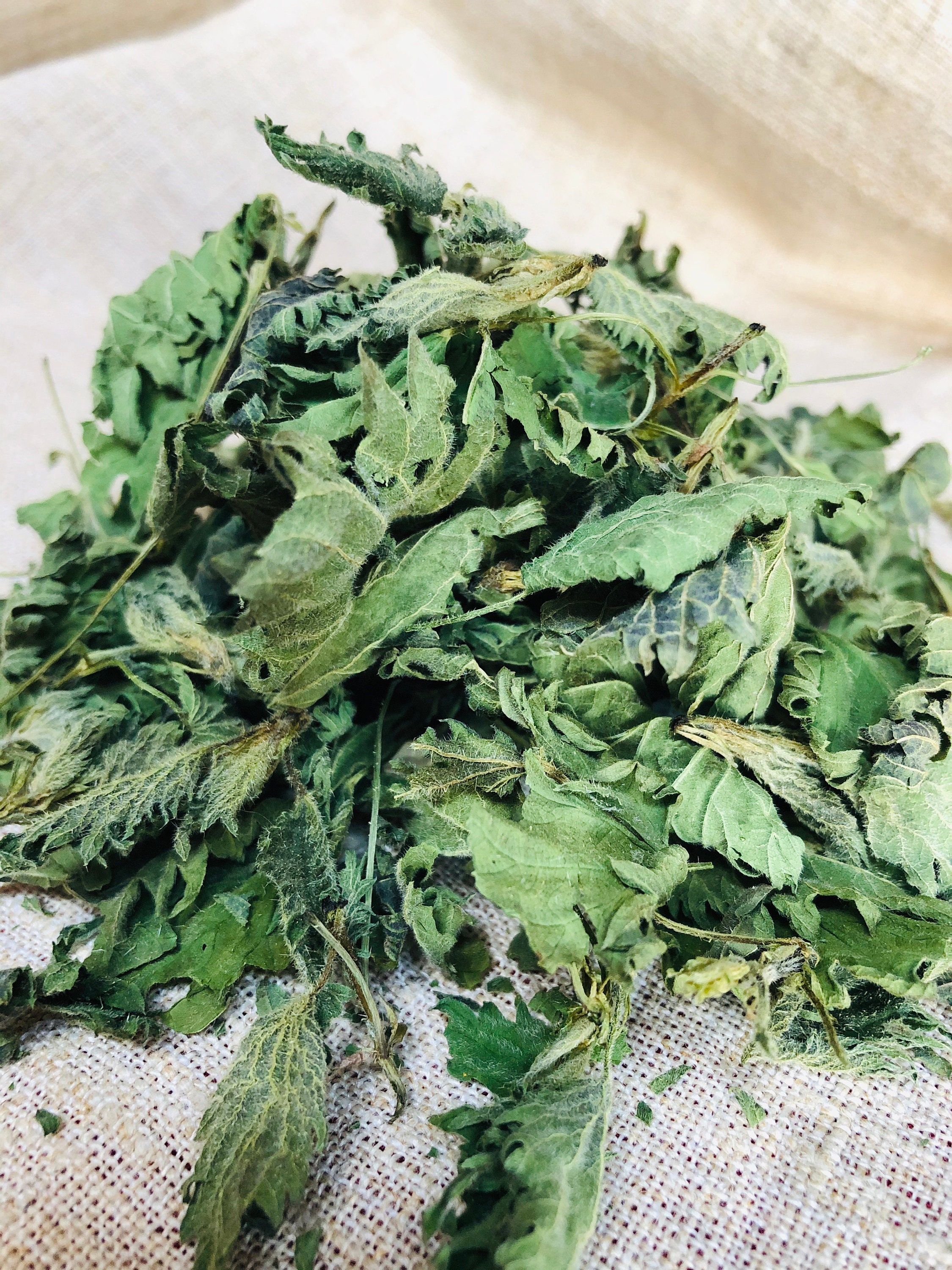 Hojas secas de ortiga (recogidas a mano), infusión de ortiga seca ...