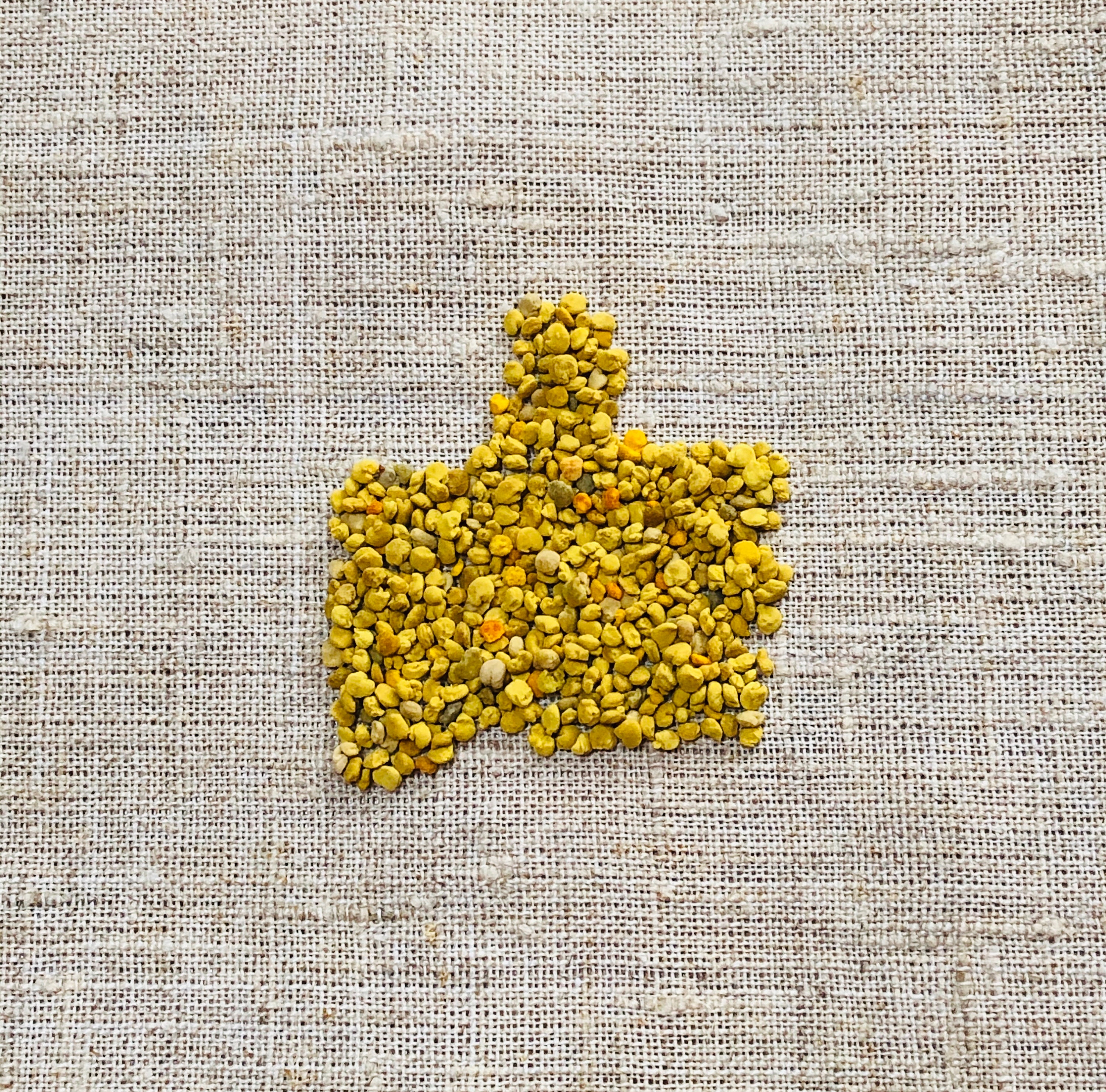 Lollipops - Bee Pollen , Birthday Party Favor, Wedding Favors, Party ...