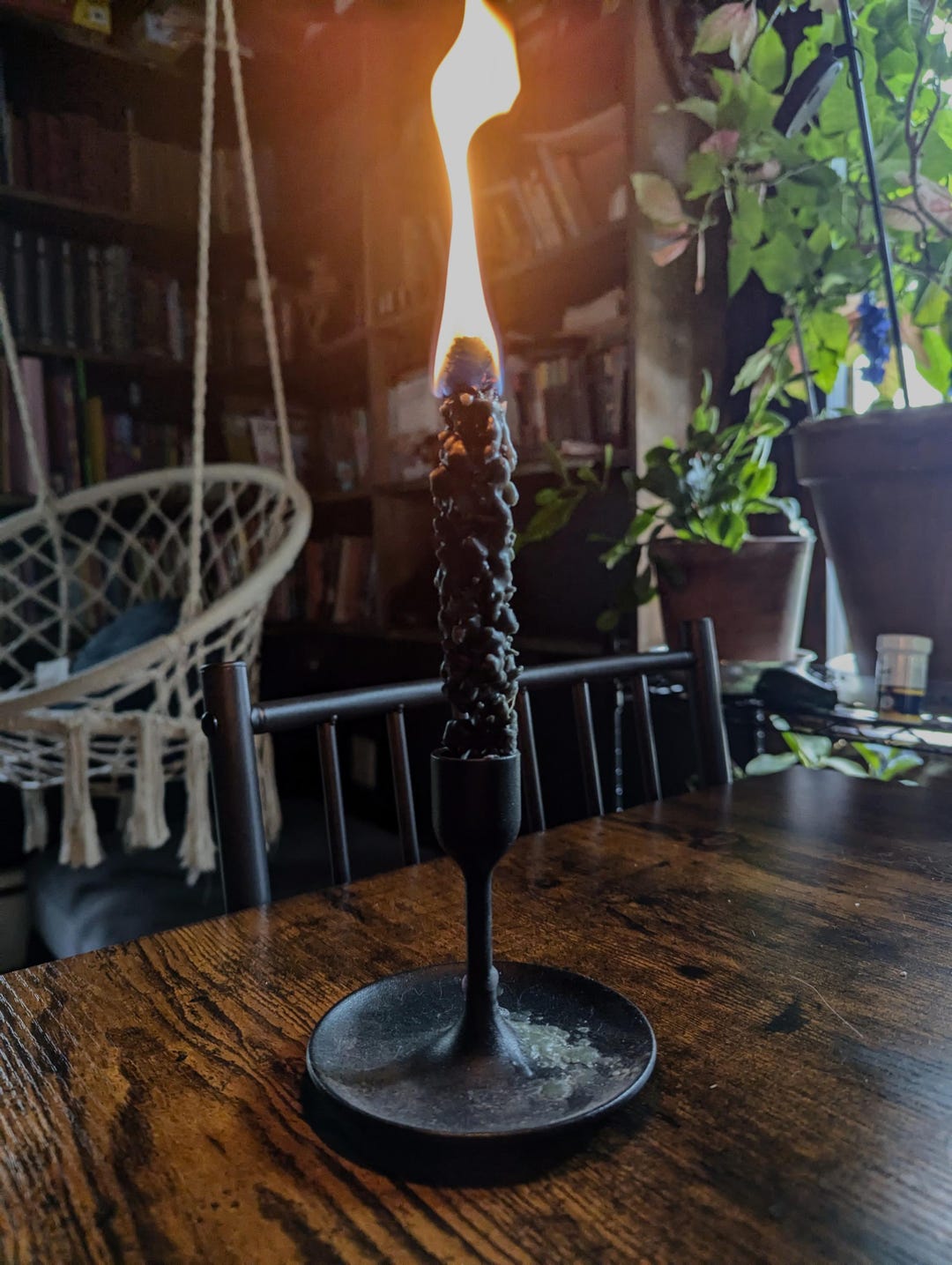 Mullein Torch, Hag Candle, Altar Decor - Etsy