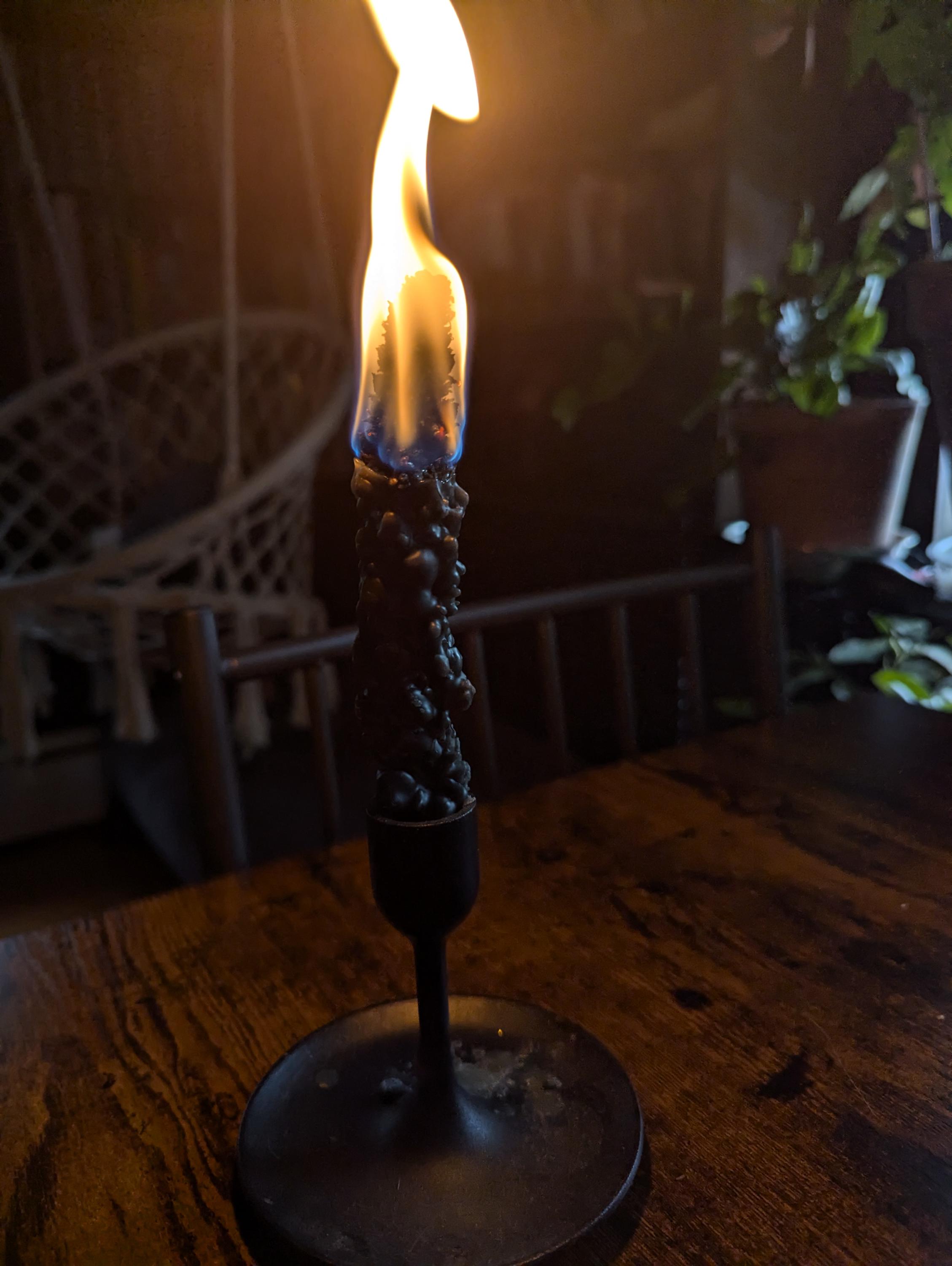 Mullein Torch, Hag Candle, Altar Decor - Etsy