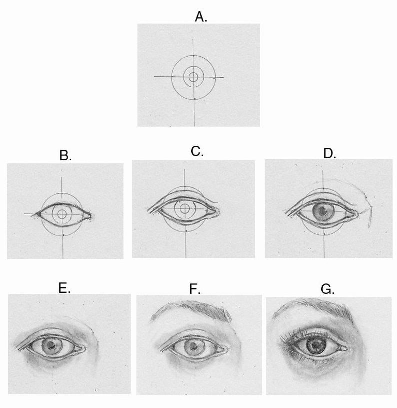 Start to Draw the Face, Tutorial PDF, How to Draw the Face, Drawing ...