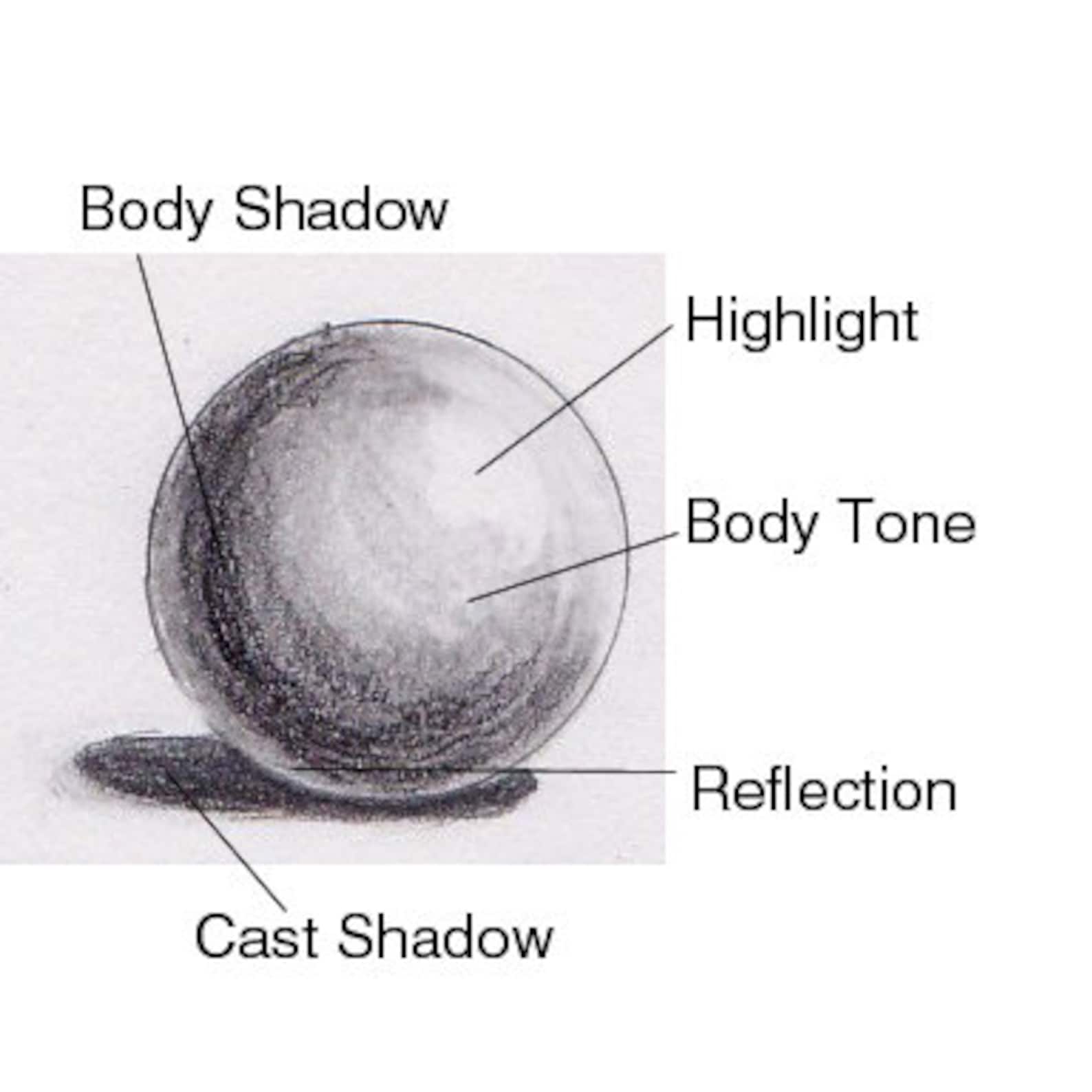 Start to Draw the Face, Tutorial PDF, How to Draw the Face, Drawing ...