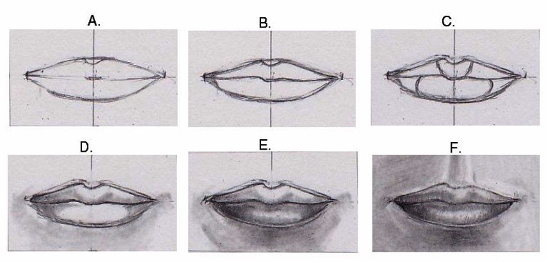 Start to Draw the Face, Tutorial PDF, How to Draw the Face, Drawing ...