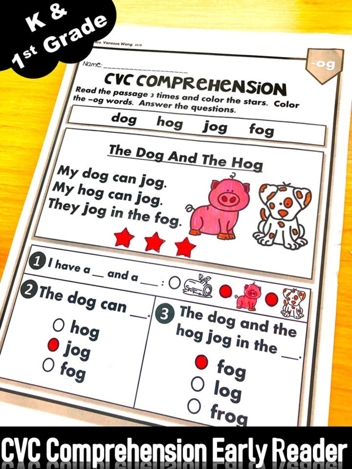 Phonics Worksheets CVC Comprehension Early Readers - Etsy