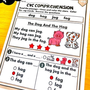 Phonics Worksheets, CVC Comprehension Early Readers for Kindergarten ...