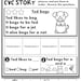 Phonics CVC Short Vowels Story Sequence for Kindergarten and First ...