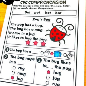 Phonics Worksheets, CVC Comprehension Early Readers for Kindergarten ...